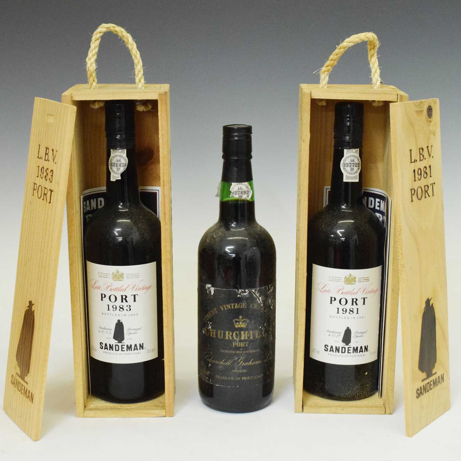 Lot 552 - Two bottles Sandeman LBV Port, and a bottle