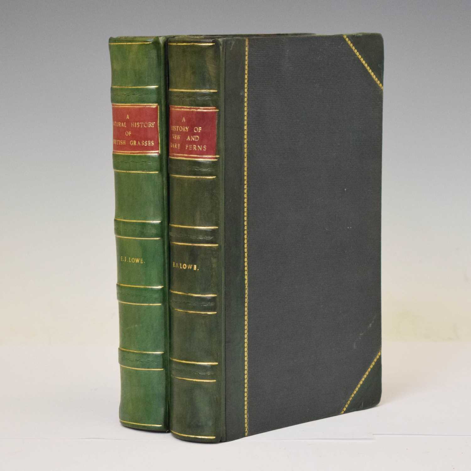 Lot 701 - E.J. Lowe, 'New and Rare Ferns' and 'British