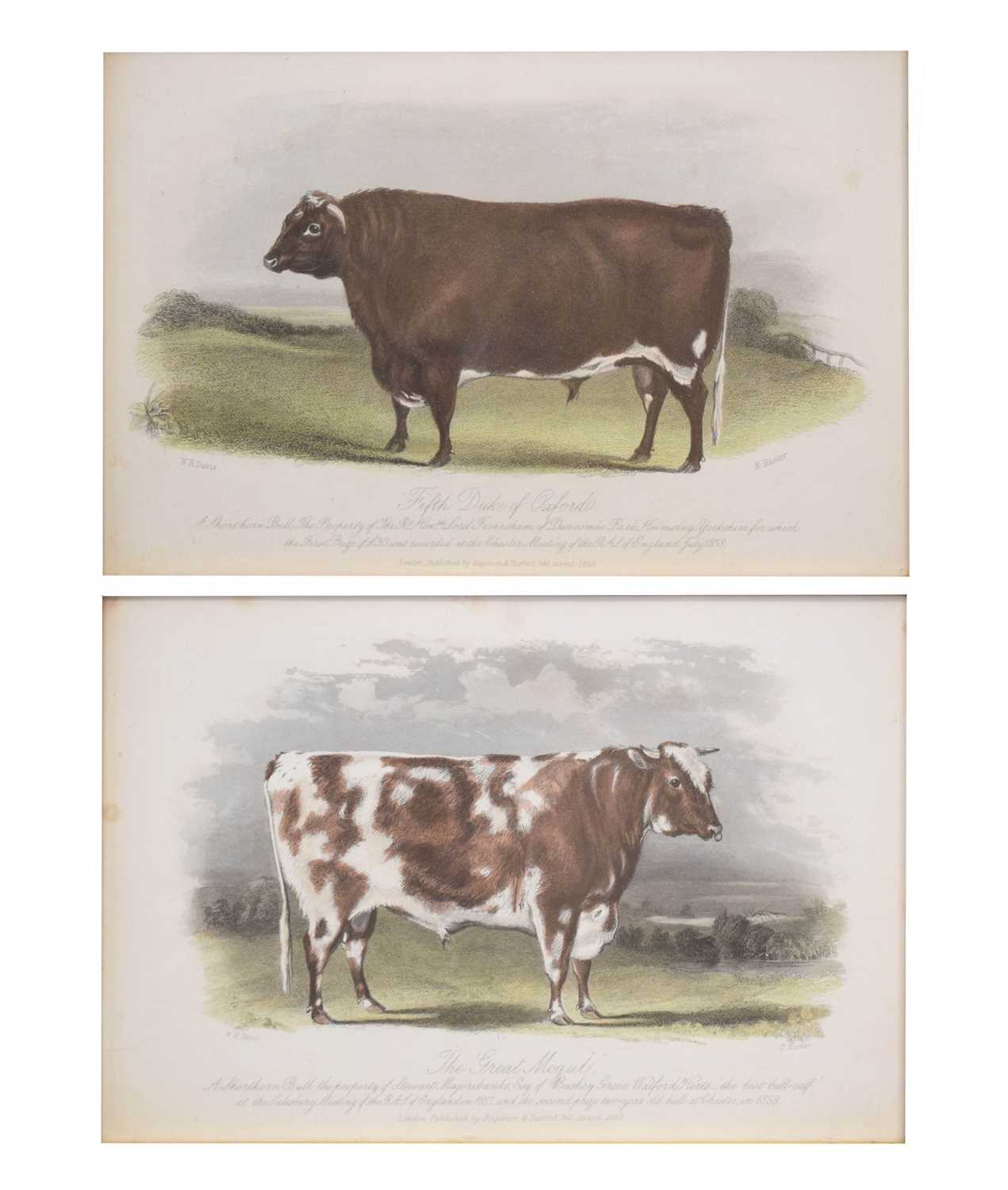 Lot 637 - After W.H. Davis - Two 19th century